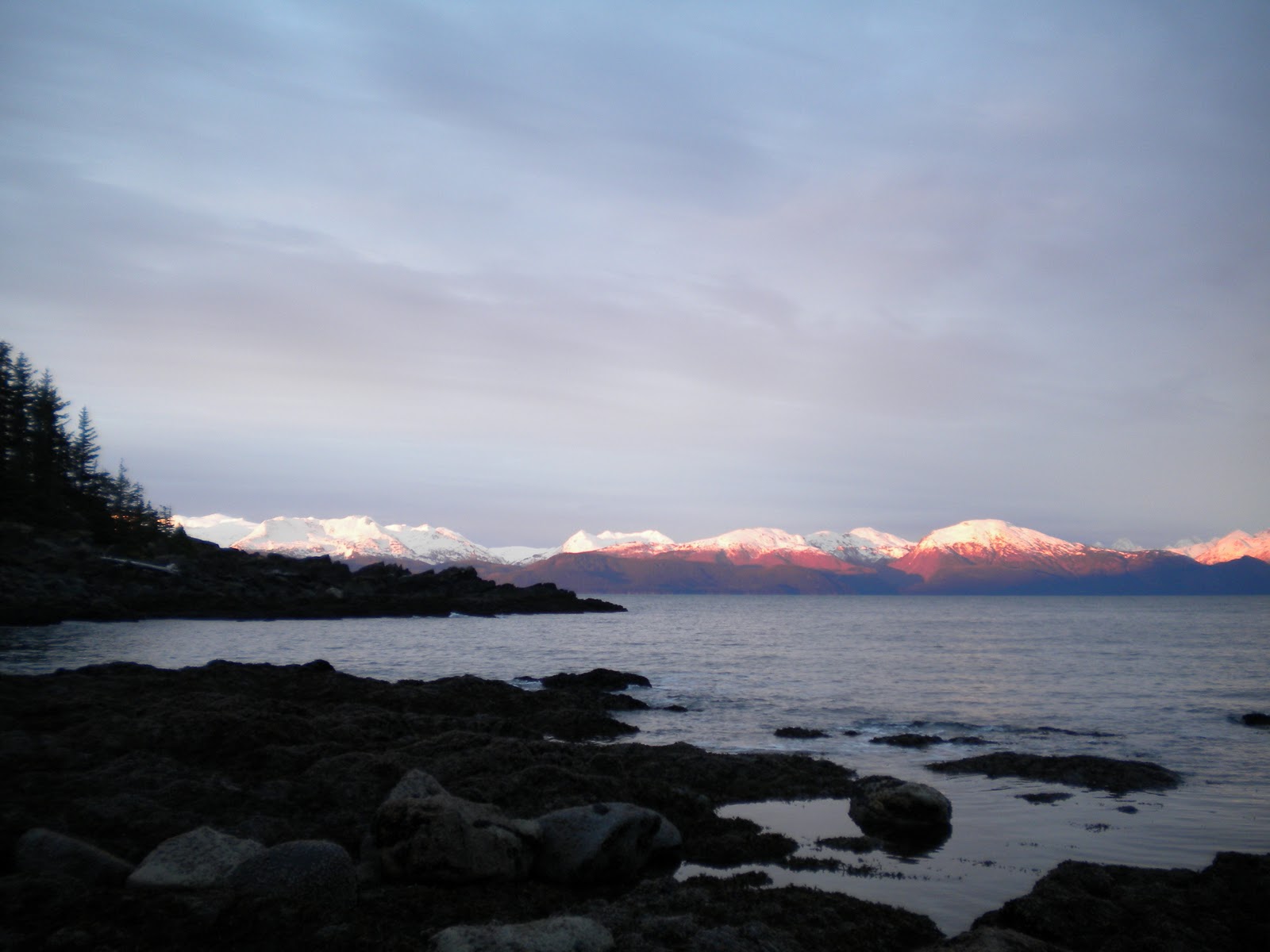 Where Ocean and Mountains Collide: Blue Mussel Cabin