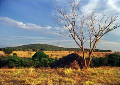 Biomas Baianos: Cerrado