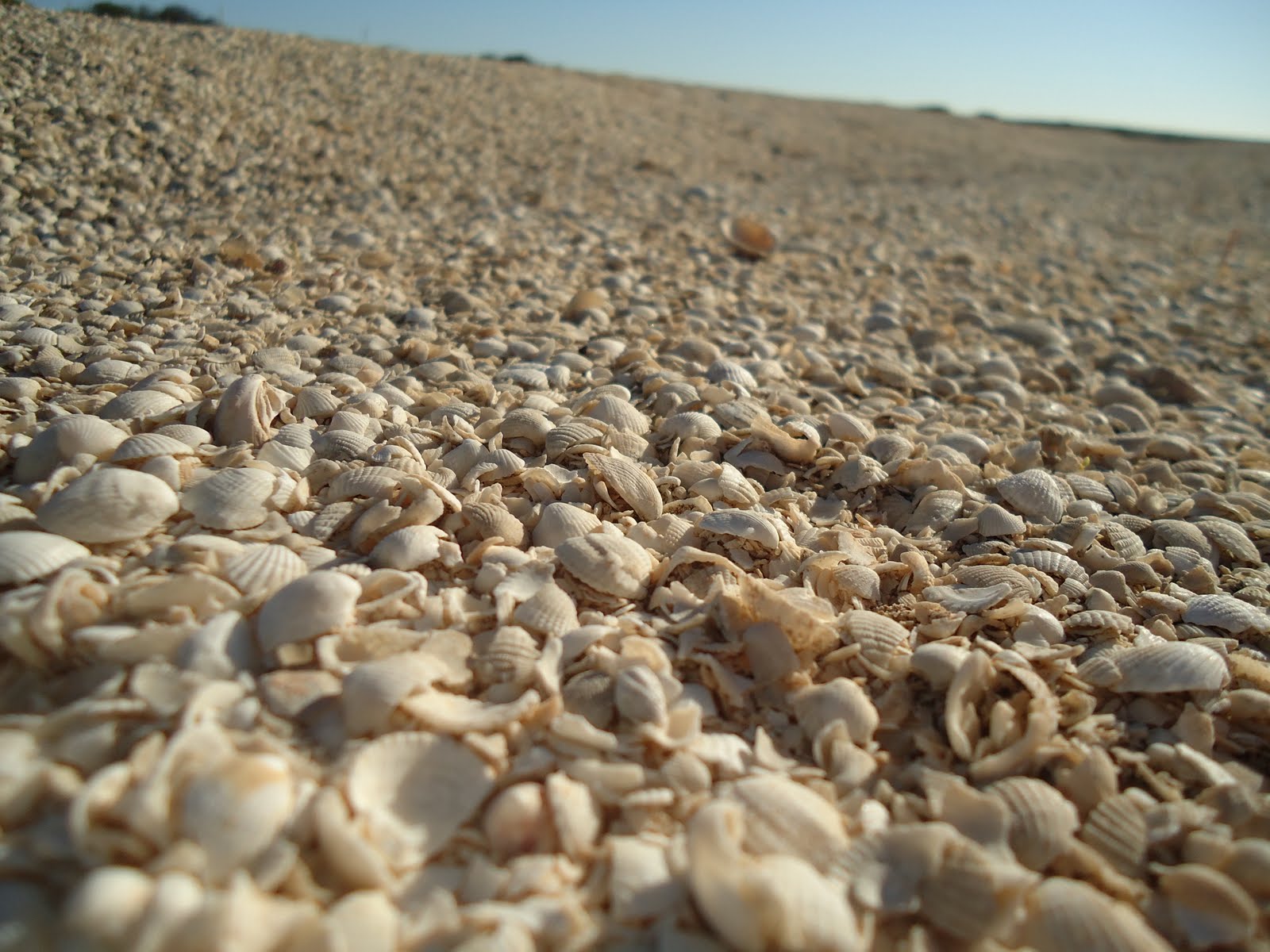 Adventures in the Land of Oz: Western Xposure Trip - Perth to Exmouth