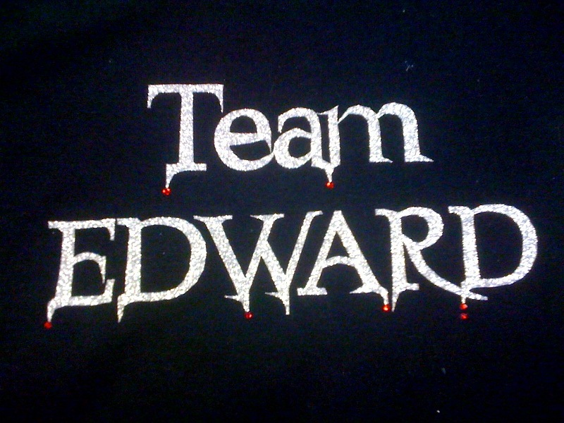 Christy Robbins: Twilight Shirts-OR-Step 1 of the Addiction Process