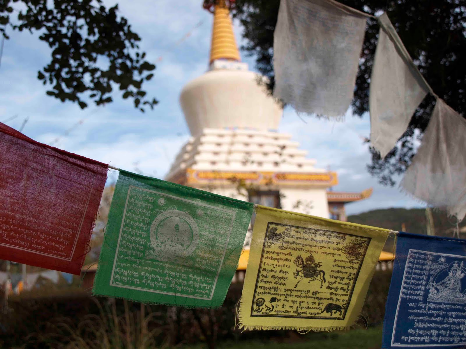 Raneando por el mundo: Panillo. Excursión invernal
