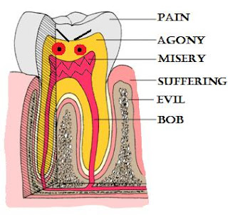 Euphemisms of Life: 2010