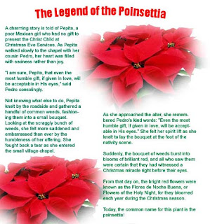 Jyoti Communication: Christmas feature: The legend of the Poinsettia