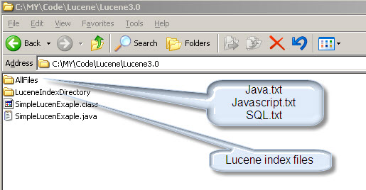 Java Experts Blog Java Examples Api Errors Exceptions Java Simple Lucene