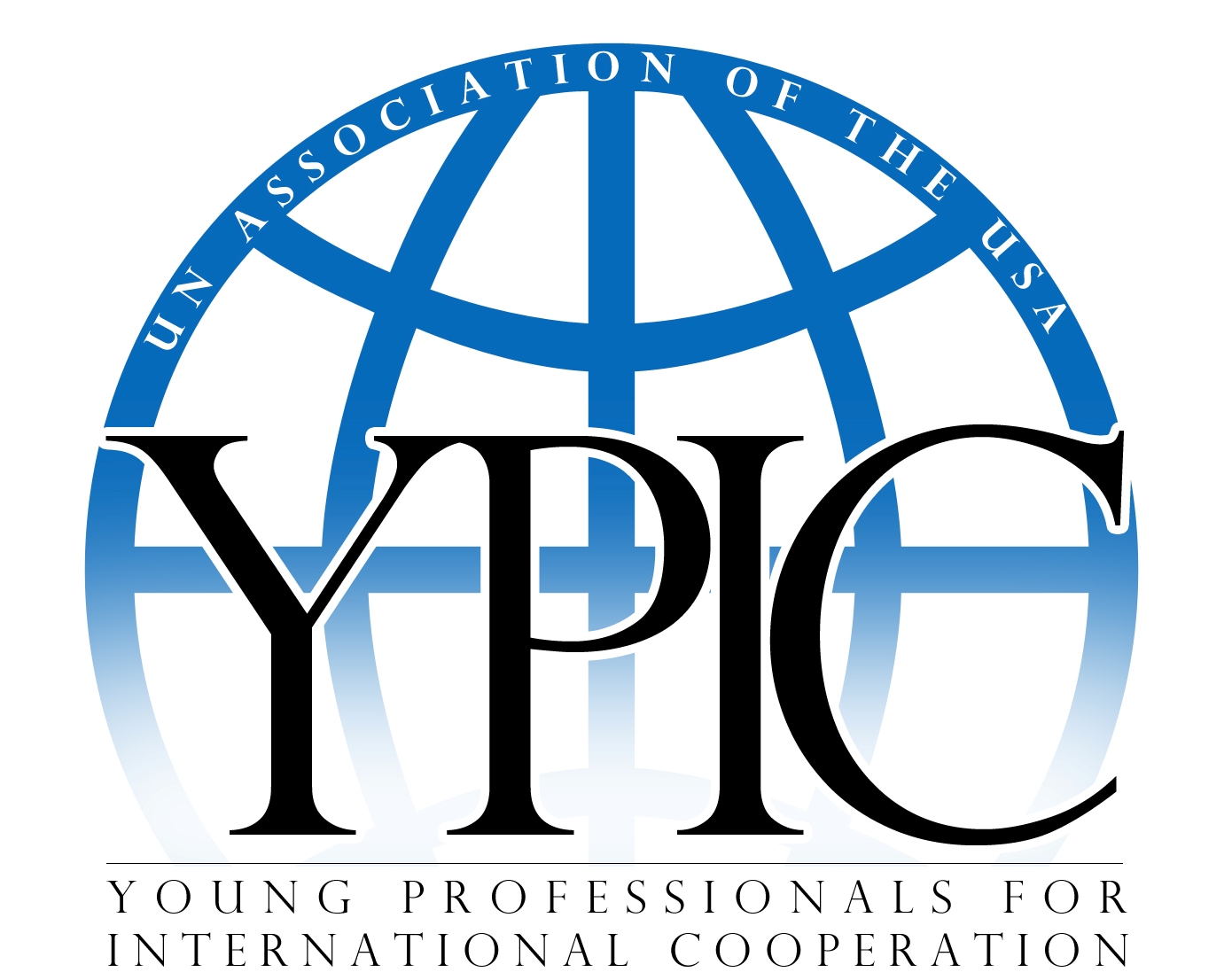 Young Professionals for International Cooperation Boston: 2010 YPIC ...