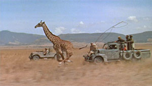 CHICK FLICKS on Safari.: Hatari! (1962)