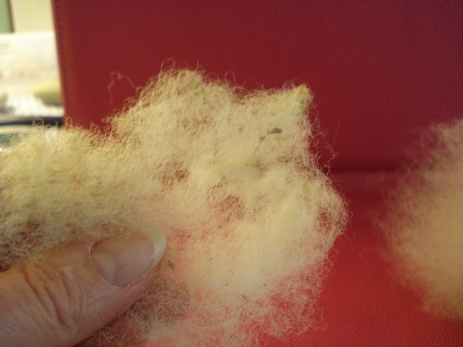 100-Mile Wear: Cleaning fibre with wool combs -- Rambouillet