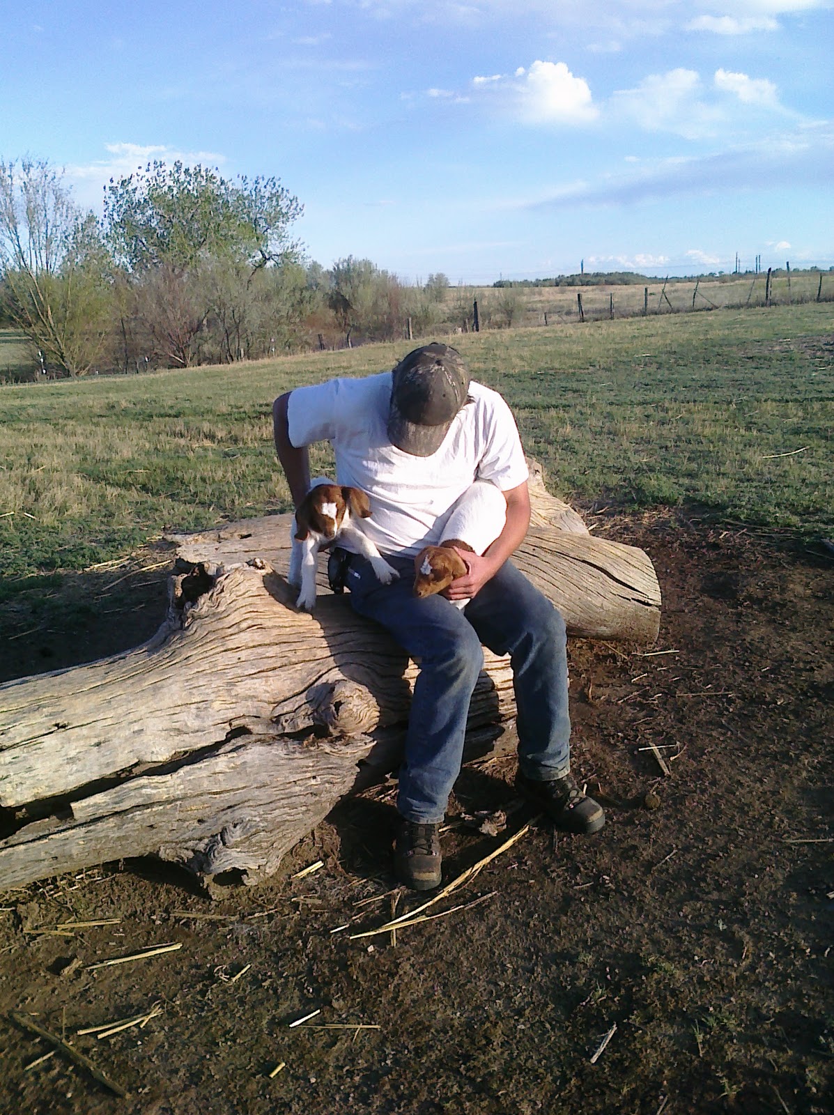 Twister Alley Ranch: Photos of the Ranch!