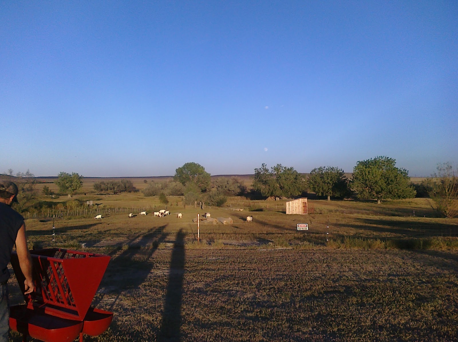 Twister Alley Ranch: Photos of the Ranch!