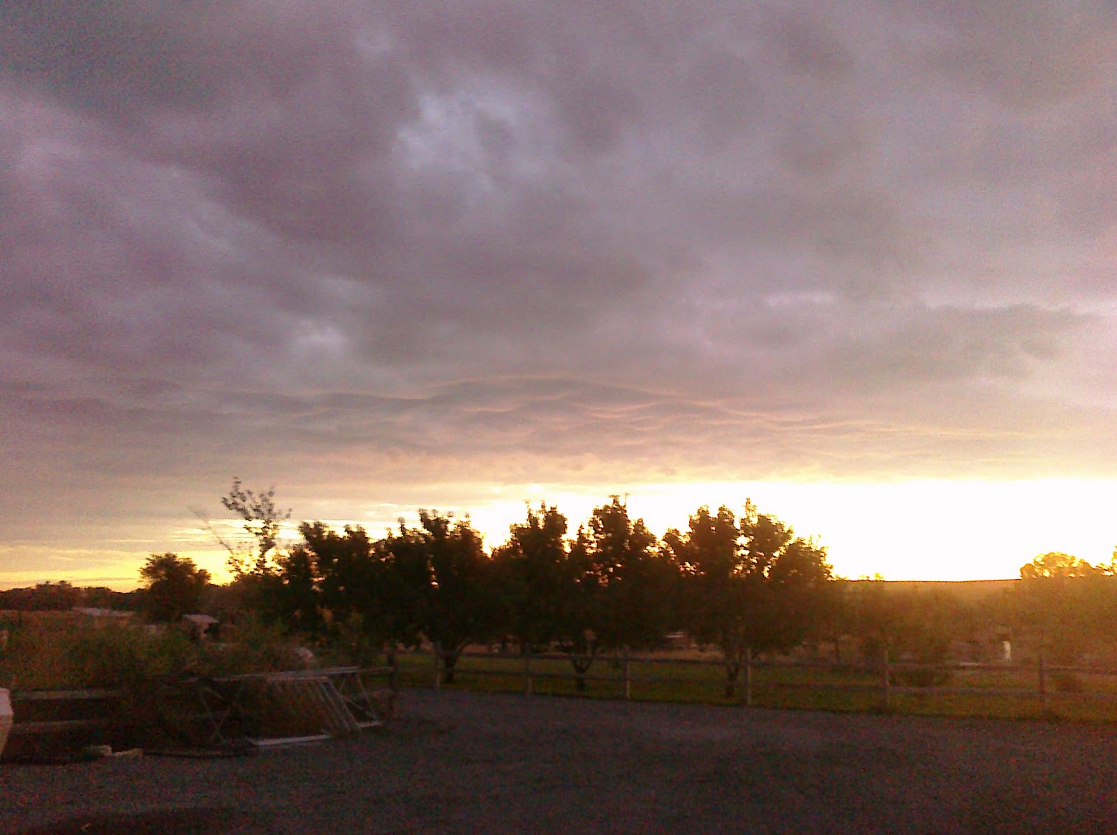 Twister Alley Ranch: Photos of the Ranch!