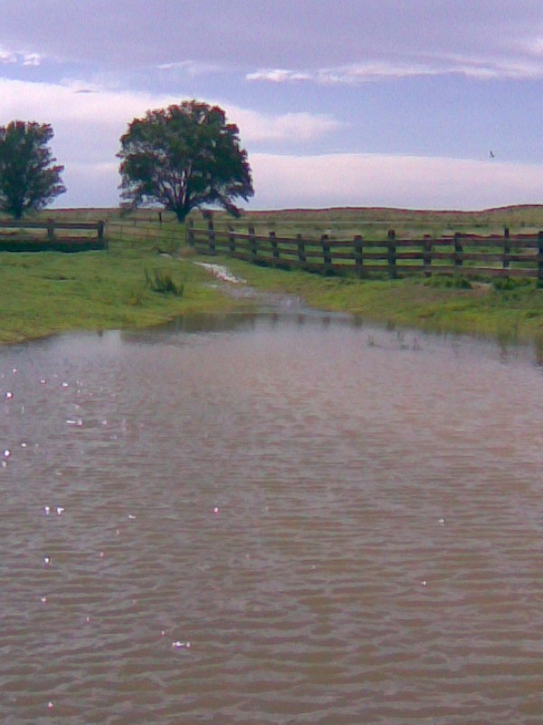 Twister Alley Ranch: Photos of the Ranch!