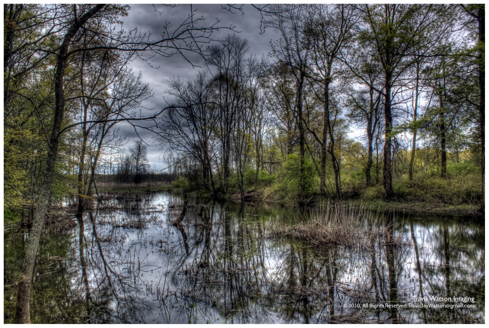 HDR Photography: Great Swamp - New Jesey