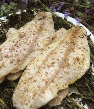 How Do You Cook.com: How Do You Cook Swai Fillets?