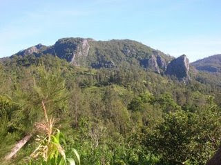 Gunung Mutis ~ Bumi Nusantara