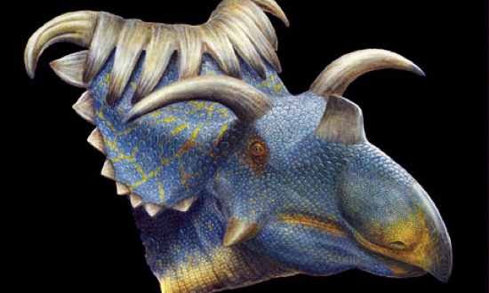 7 + 3 horned dinosaurs of the world's most amazing
