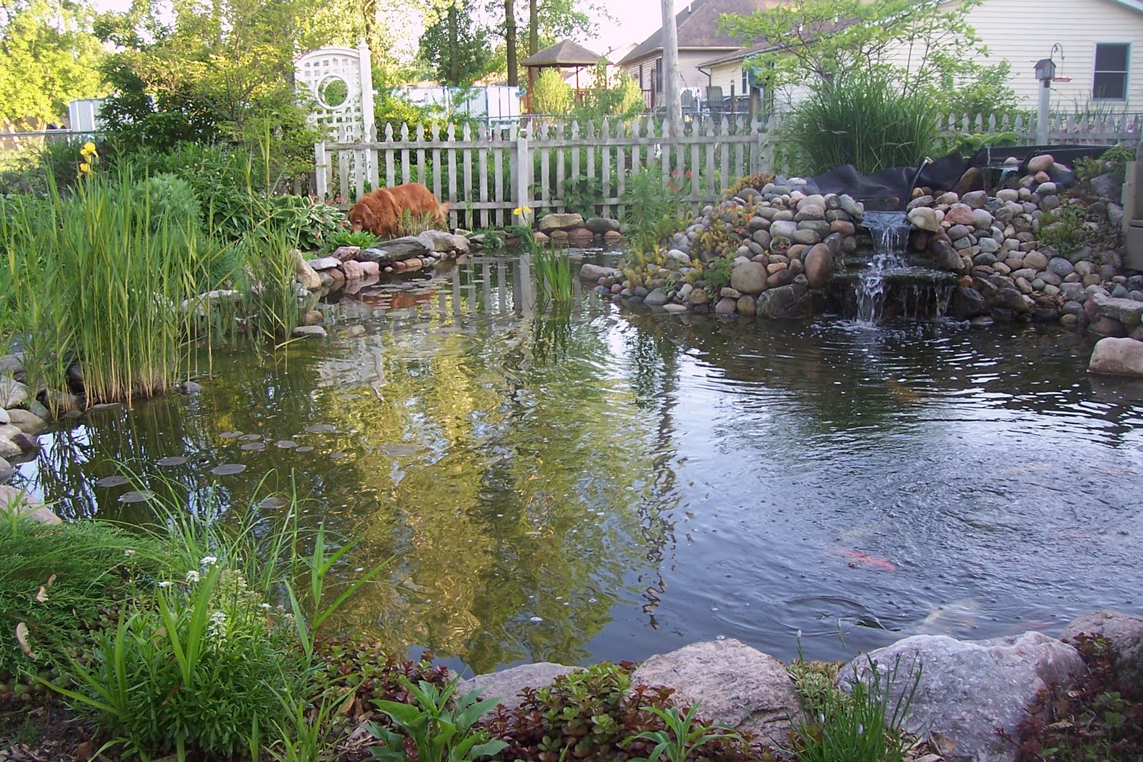 A Primitive Plot: Big and Little Ponds and Strawberry Patch