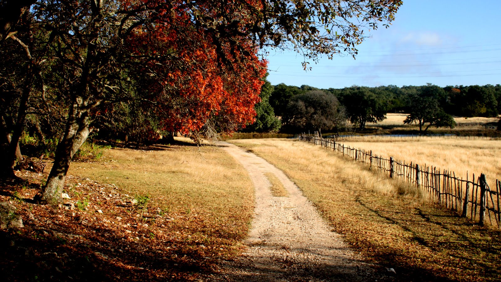 Film SA: Fall in the Texas Hill Country