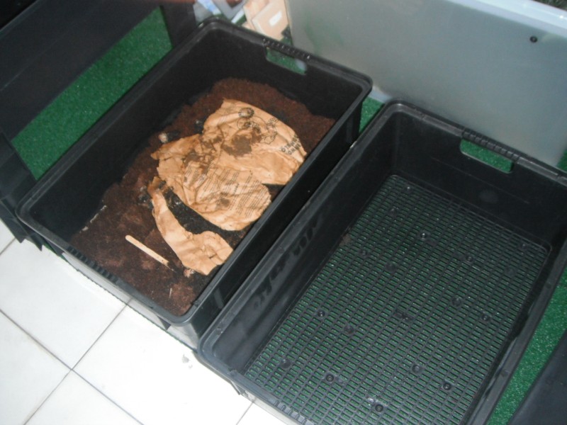 Urban Green Survival: Worm Farm