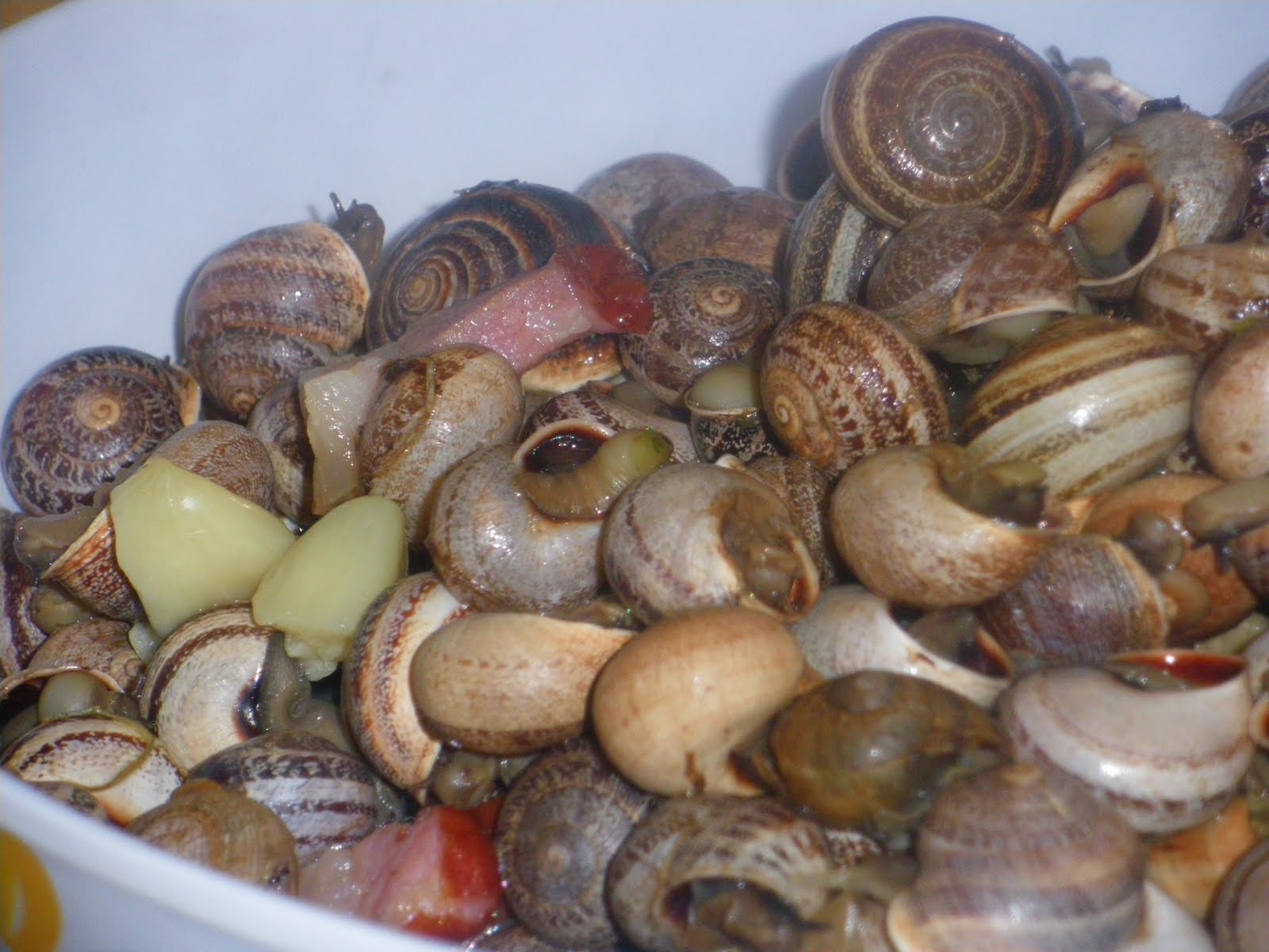 O que há pró jantar?: Caracois