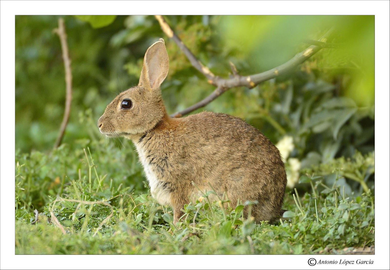 Encuentros memorables