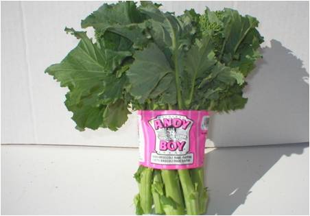 Eighty-Seven Years feeding a nation. The D'Arrigo Bros and their Andy ...