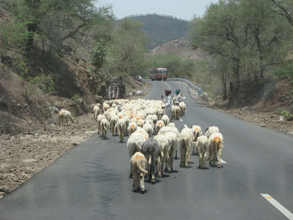 Pindwara - Alchetron, The Free Social Encyclopedia