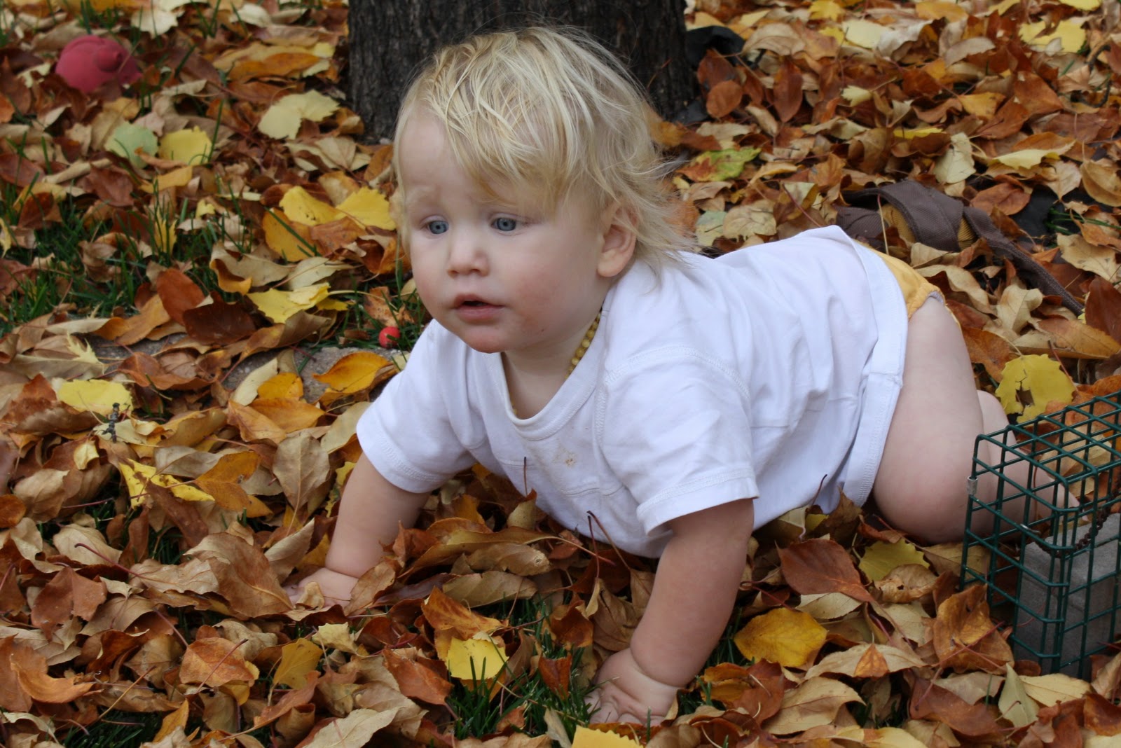 {hands full of happiness}: A Toddling Toddler