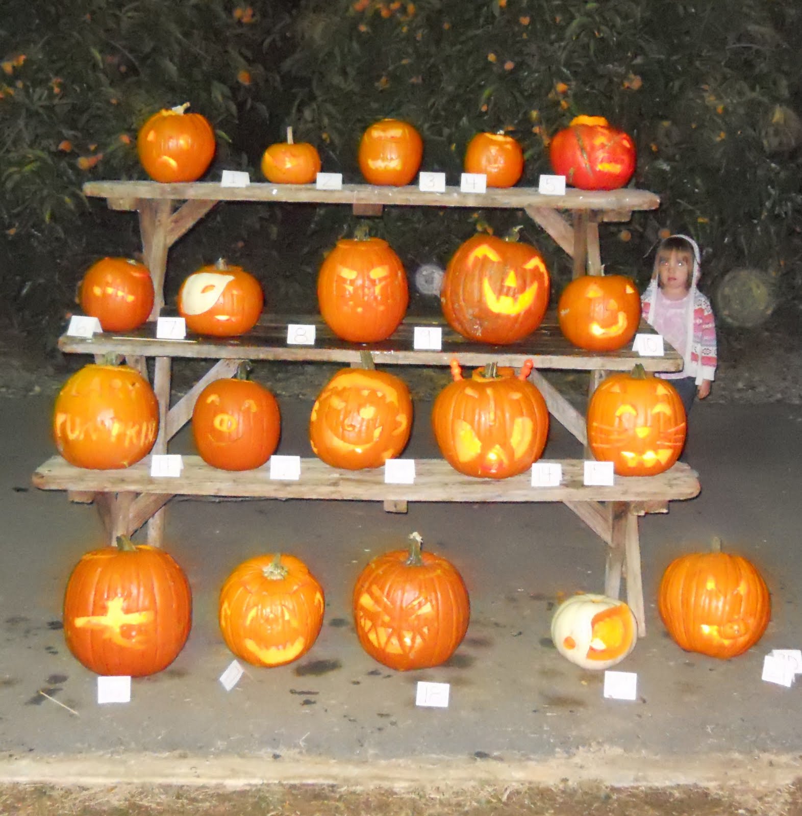 The Meneses Spot: The Annual Pumpkin Carving Contest!