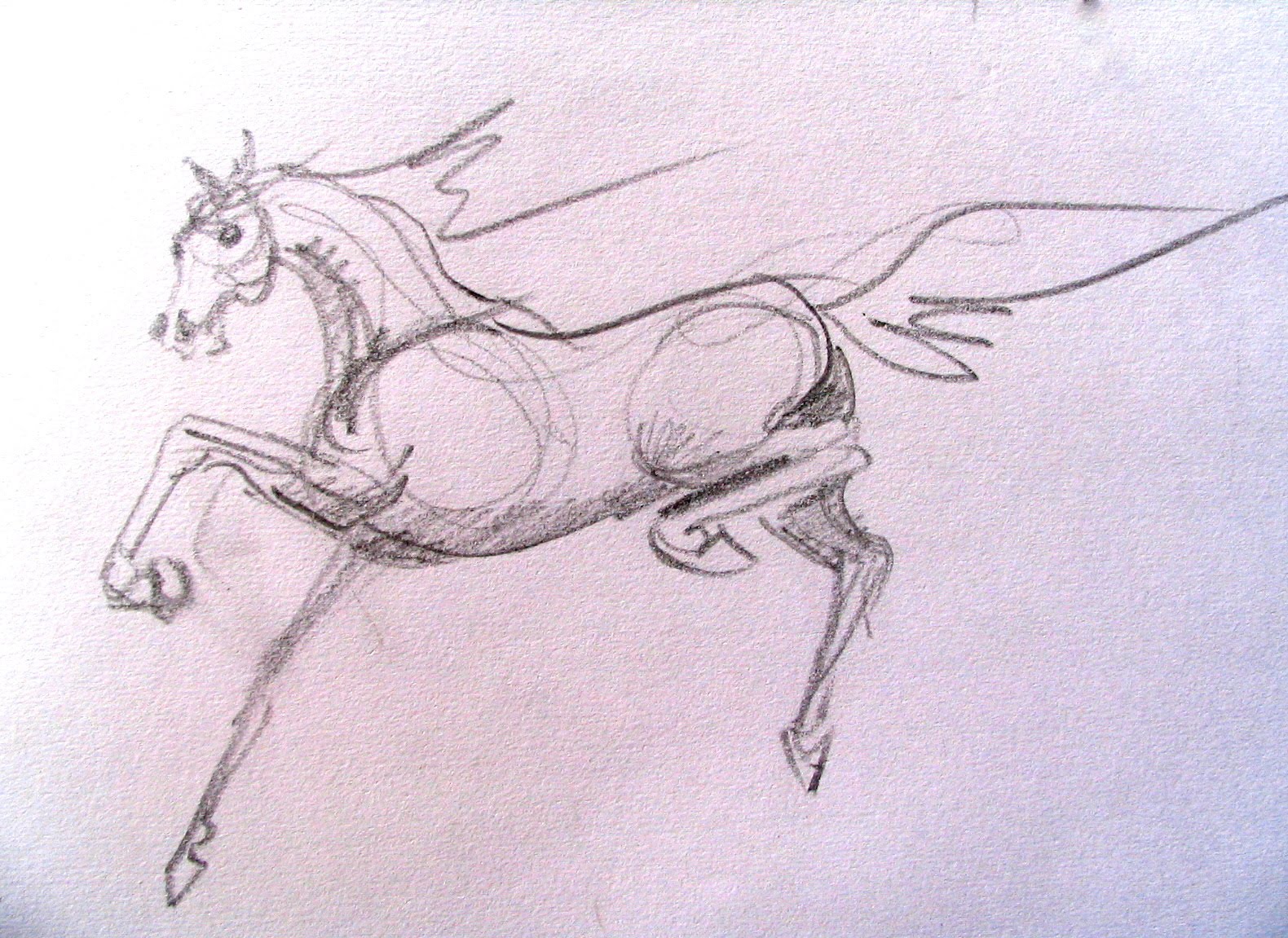 LynFeudner: Quick Sketches