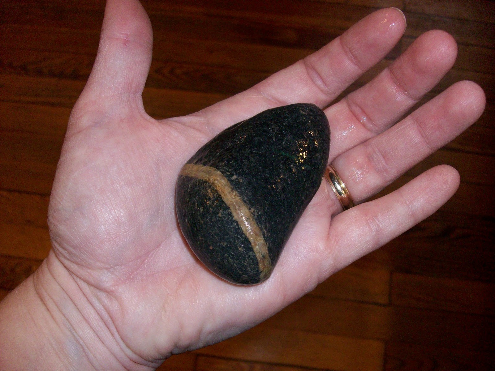 Shindig Spree: Rock On, Freaky Bro