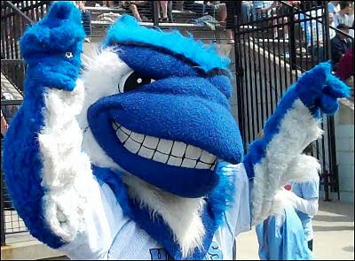 Vitally Important Considerations: Syracuse-Johns Hopkins - College Crosse