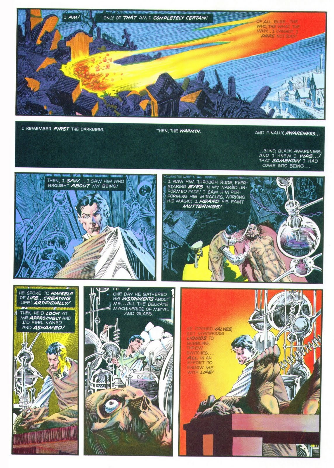 Diversions of the Groovy Kind: Groove's Faves: Bernie Wrightson's "The ...