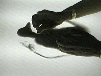 AnimaKnowledge: Caroline leaf