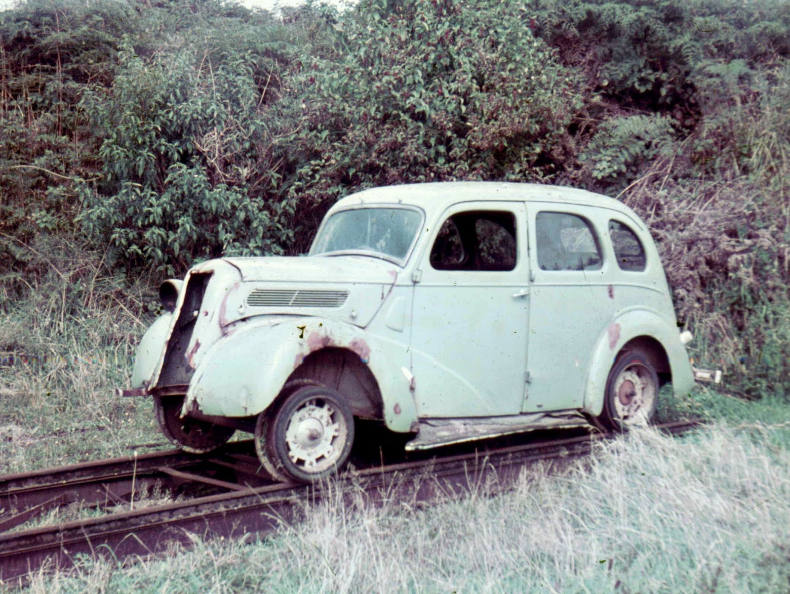 transpress nz: cars on rails in the bush