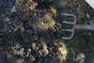 Elemental: Soil: The Tutorial