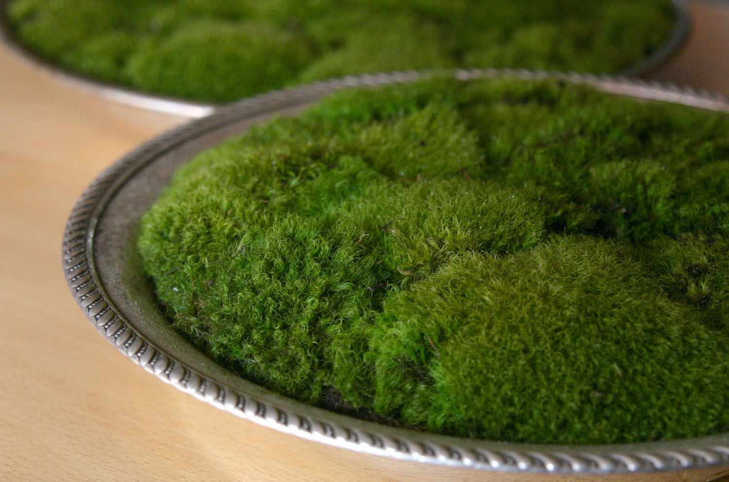 Elemental: Moss Platter Tutorial