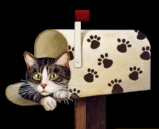 True Book Addict...Books, Cats, and More: Mailbox Monday