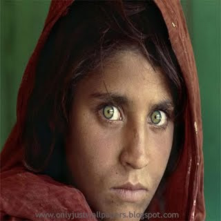 Only Just Wallpapers | Lots of Wallpapers: Beautiful wallpapers of ...