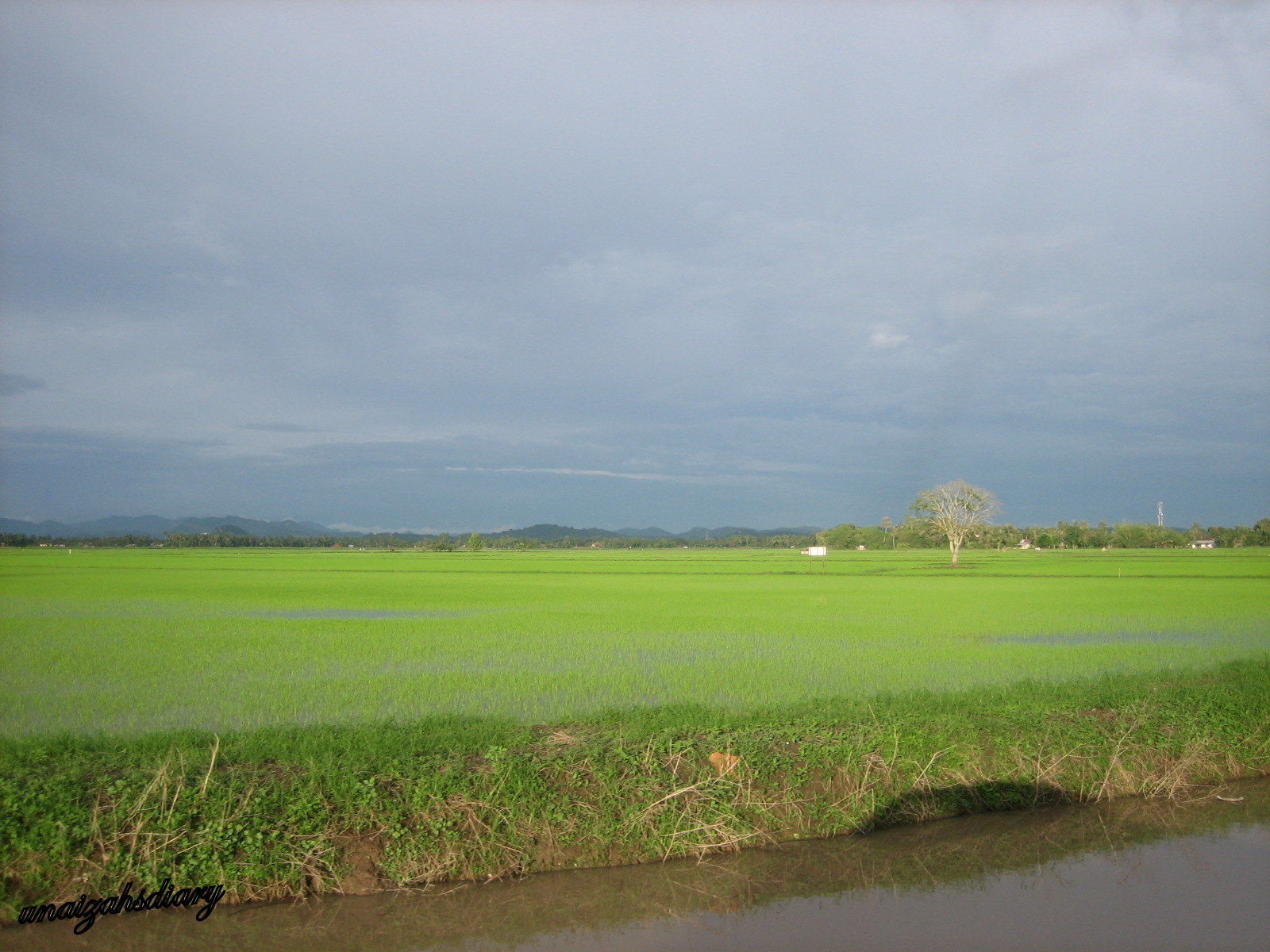 Memories Experiences Thoughts Hopes Dreams: Sawah Bendang