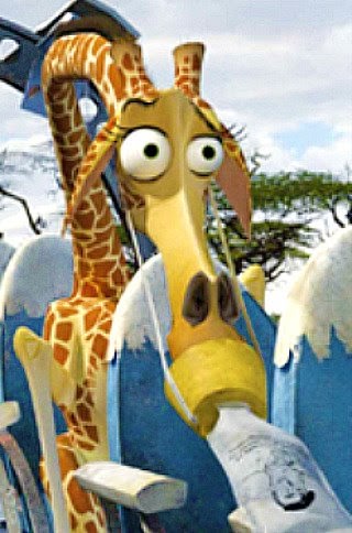 The Bird Flock: Melman's Long Lost Twin.......