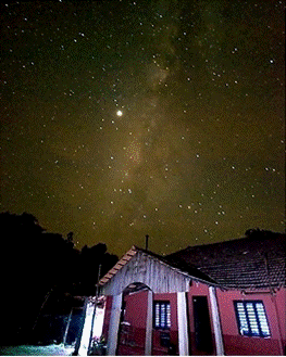 The Gerry Martin Project: Rainforest Ecology Experience - Agumbe 3/5 ...