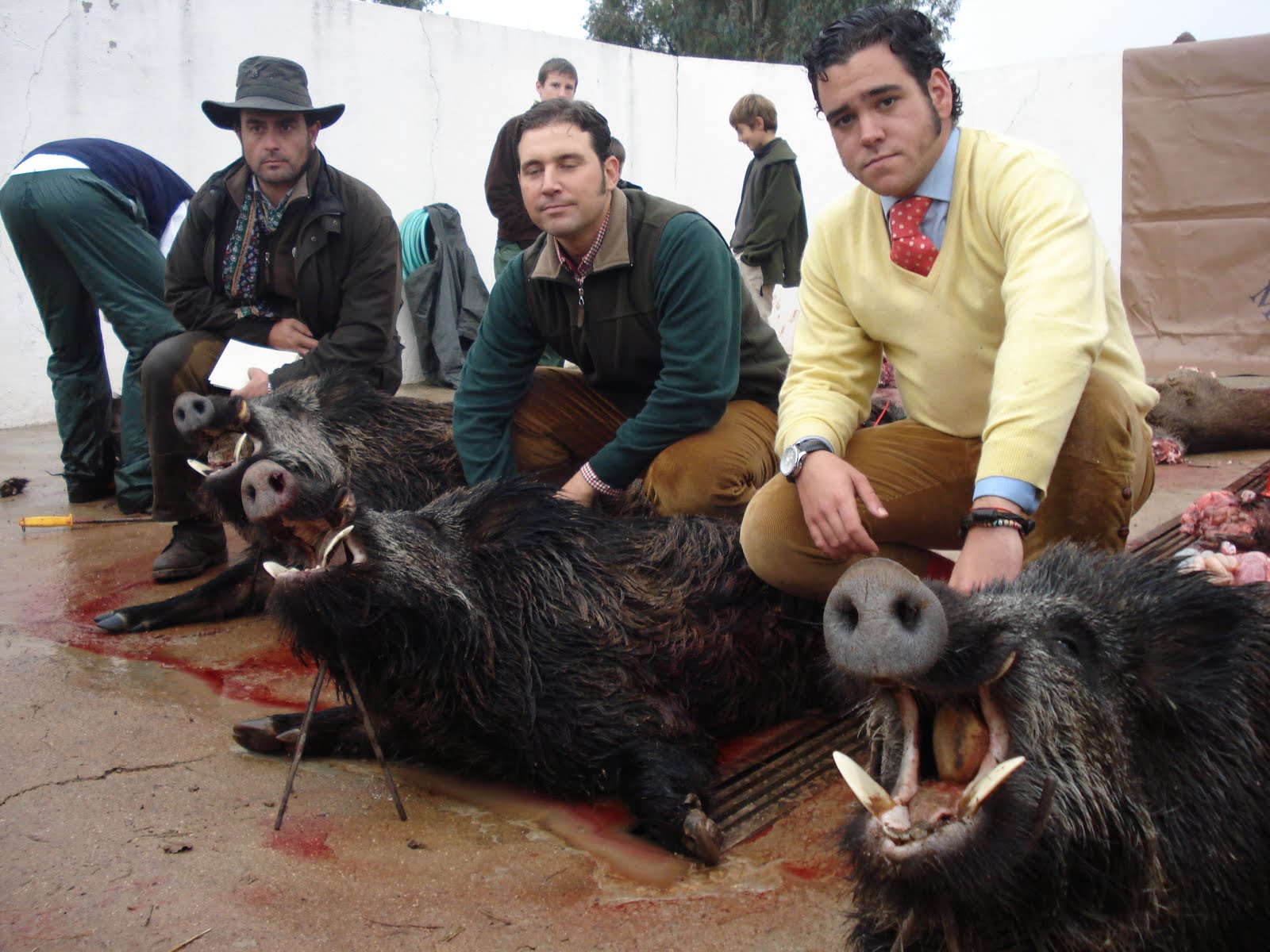 GRUPO MIRANDA: CHAPARRON EN EL CHAPARRON