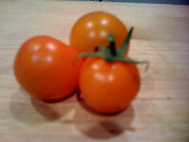 Ninja Fingers 2.0: Gigantic, Colossal, Massive Tomatoes!!!