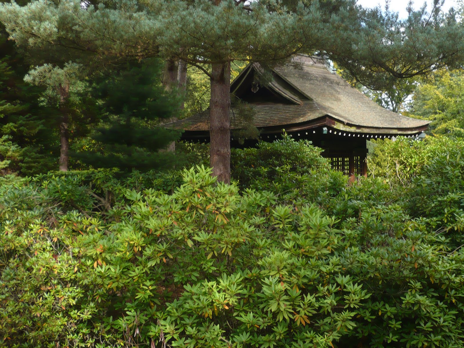 A Raft of Apples: ABC Wednesday - Japanese Garden