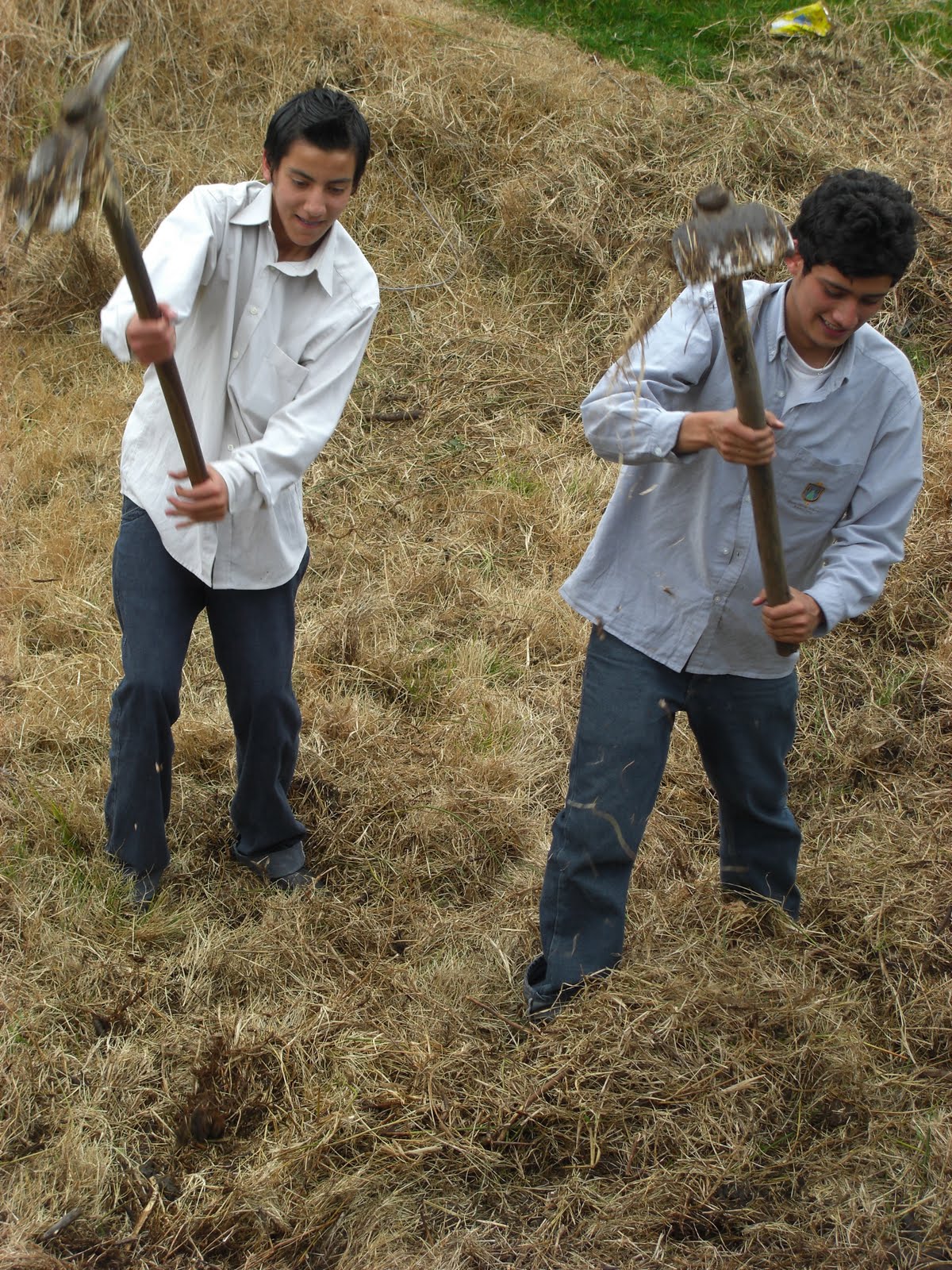 Colegio Seminario Menor de Pamplona: Estudiantes de 11 grado realizan ...