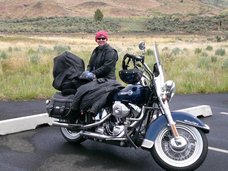 WELCOME TO MY BLOG.: PICTURES OF OUR HARLEY WRECK