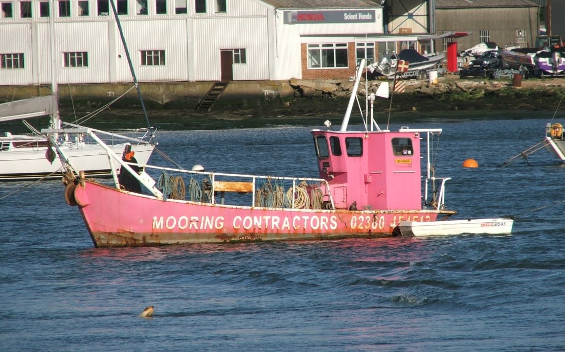 Bursledon Blog: Pink