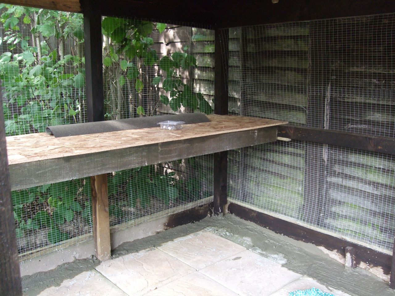 Anna Hull, Sock Bunny Maker to The World: Time to catch up!