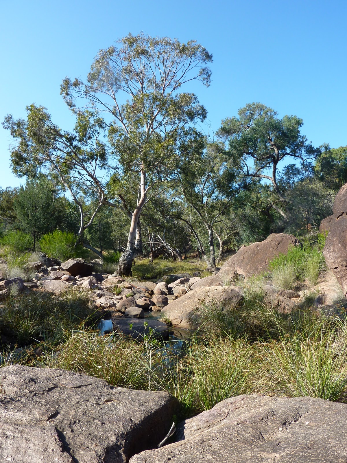 Snodge's subjective travel blog: Day 8 - Gundabooka NP; Exhibition ...