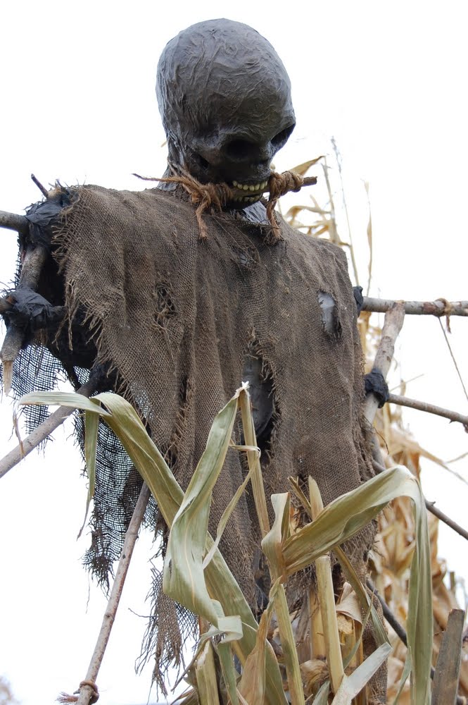 The Scarecrow's Post: 2010 Display